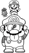 Mario Zone - Super Mario Wiki, the Mario encyclopedia