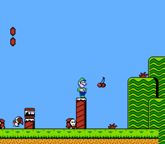 Gallery:Tweeter - Super Mario Wiki, the Mario encyclopedia