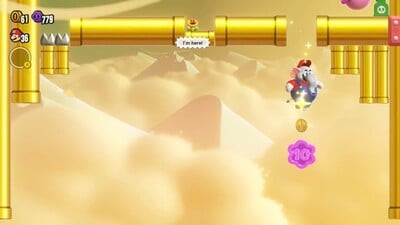 Flight of the Bloomps - Super Mario Wiki, the Mario encyclopedia