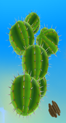 Cactus - Super Mario Wiki, the Mario encyclopedia