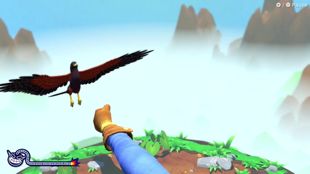 Falconer - Super Mario Wiki, the Mario encyclopedia