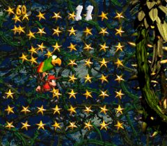 Windy Well (Donkey Kong Country 2) - Super Mario Wiki, the Mario ...