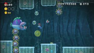 Cheep Chomp - Super Mario Wiki, the Mario encyclopedia