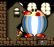 Burt The Bashful's Fort - Super Mario Wiki, the Mario encyclopedia