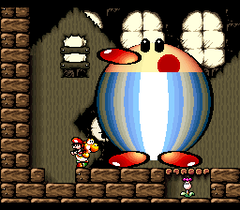 Burt the Bashful - Super Mario Wiki, the Mario encyclopedia