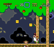 Forest of Illusion - Super Mario Wiki, the Mario encyclopedia