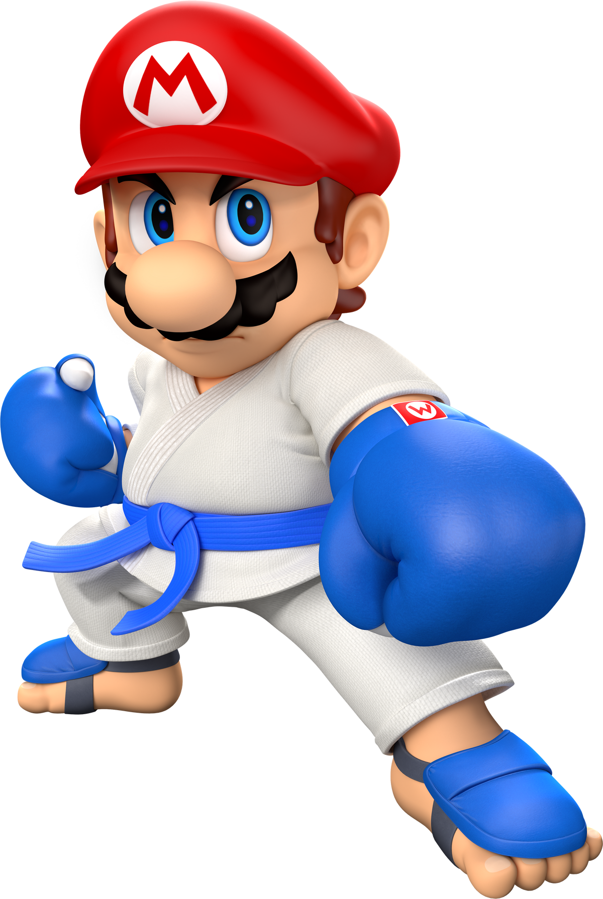 File:MSOGT Mario Karate.png - Super Mario Wiki, the Mario encyclopedia