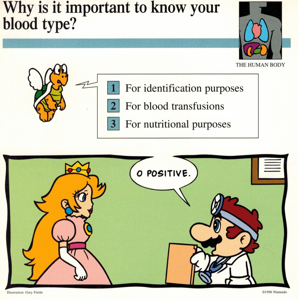 File:Dr mario peach blood type mario quiz card.png - Super Mario Wiki ...