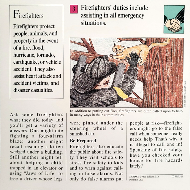 File:Firefighters duties quiz card back.png - Super Mario Wiki, the ...
