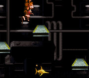 Blackout Basement - Super Mario Wiki, the Mario encyclopedia