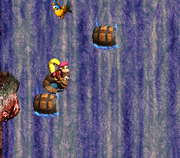 Barrel Drop Bounce - Super Mario Wiki, the Mario encyclopedia