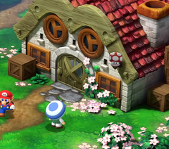 Item Shop - Super Mario Wiki, the Mario encyclopedia