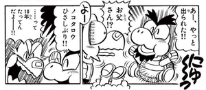 Koopley - Super Mario Wiki, the Mario encyclopedia