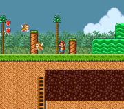 Beezo - Super Mario Wiki, the Mario encyclopedia