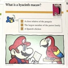 Mario Quiz Cards - Super Mario Wiki, the Mario encyclopedia