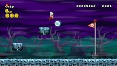 Goal Pole (secret) - Super Mario Wiki, the Mario encyclopedia