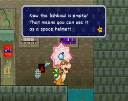 Flipside - Super Mario Wiki, the Mario encyclopedia