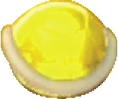 Coin Shell - Super Mario Wiki, the Mario encyclopedia