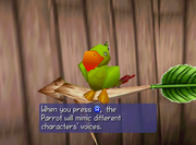 Talking Parrot - Super Mario Wiki, the Mario encyclopedia