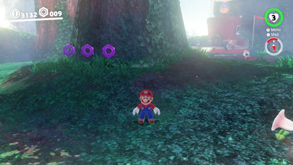 List of regional coins in the Wooded Kingdom - Super Mario Wiki, the ...