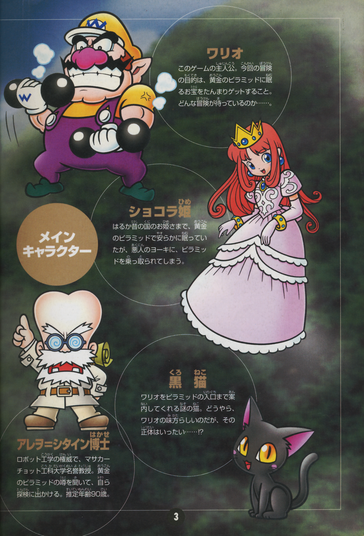 File:Japanese Green Guide Page 3 - Wario Land 4.png - Super Mario Wiki ...