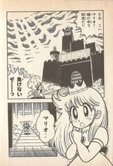 Front Door - Super Mario Wiki, the Mario encyclopedia