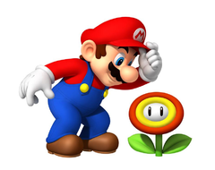 Gallery:Fire Flower - Super Mario Wiki, the Mario encyclopedia