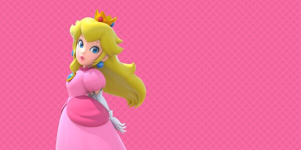 Nintendo Character Style Quiz - Super Mario Wiki, the Mario encyclopedia