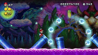 Painted Swampland - Super Mario Wiki, the Mario encyclopedia