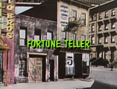 Fortune Teller - Super Mario Wiki, the Mario encyclopedia