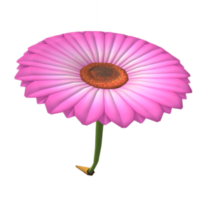 Pink Flower Glider - Super Mario Wiki, the Mario encyclopedia