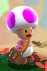 Mailtoad - Super Mario Wiki, the Mario encyclopedia