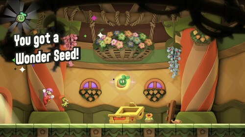 Loyal Poplin's House - Super Mario Wiki, the Mario encyclopedia