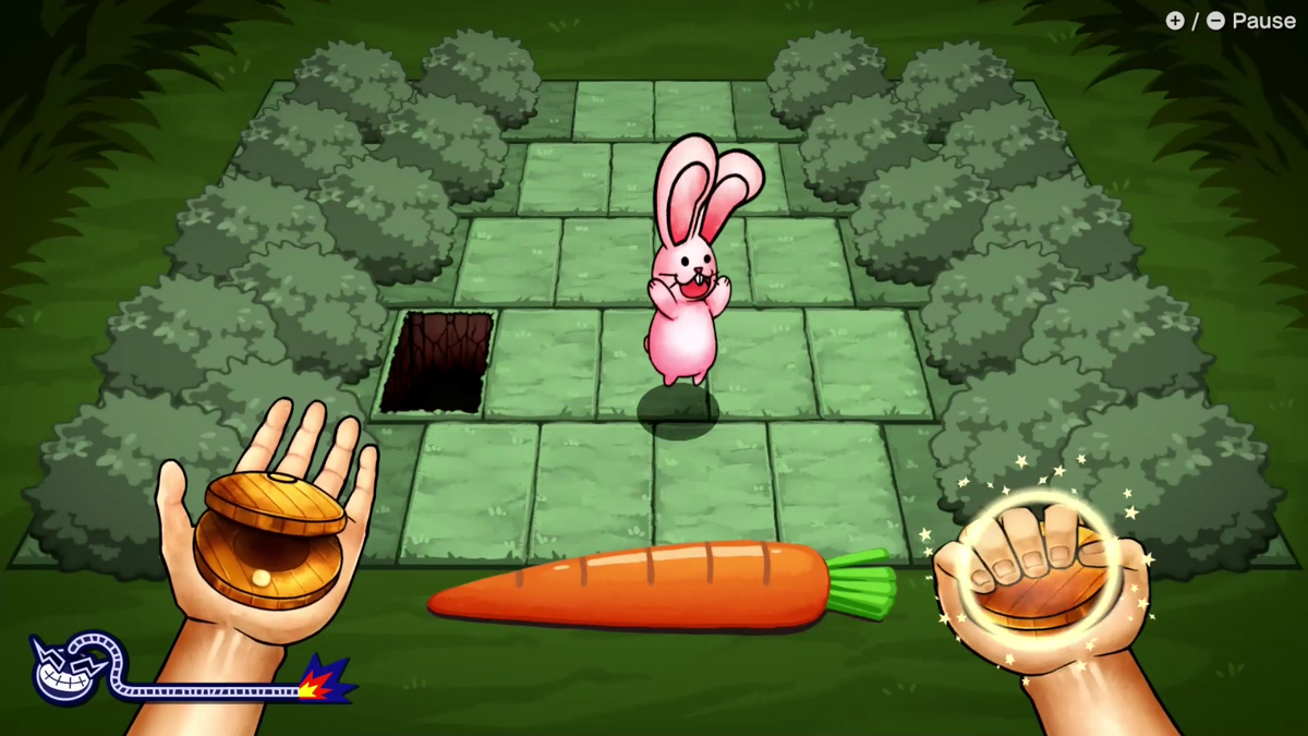 Call of the Wild - Super Mario Wiki, the Mario encyclopedia