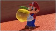 Seed (Super Mario Odyssey) - Super Mario Wiki, the Mario encyclopedia