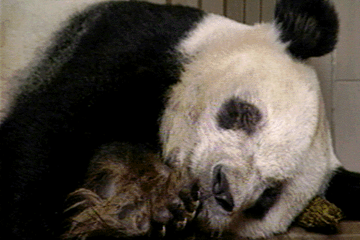 Ueno Zoo - Super Mario Wiki, the Mario encyclopedia