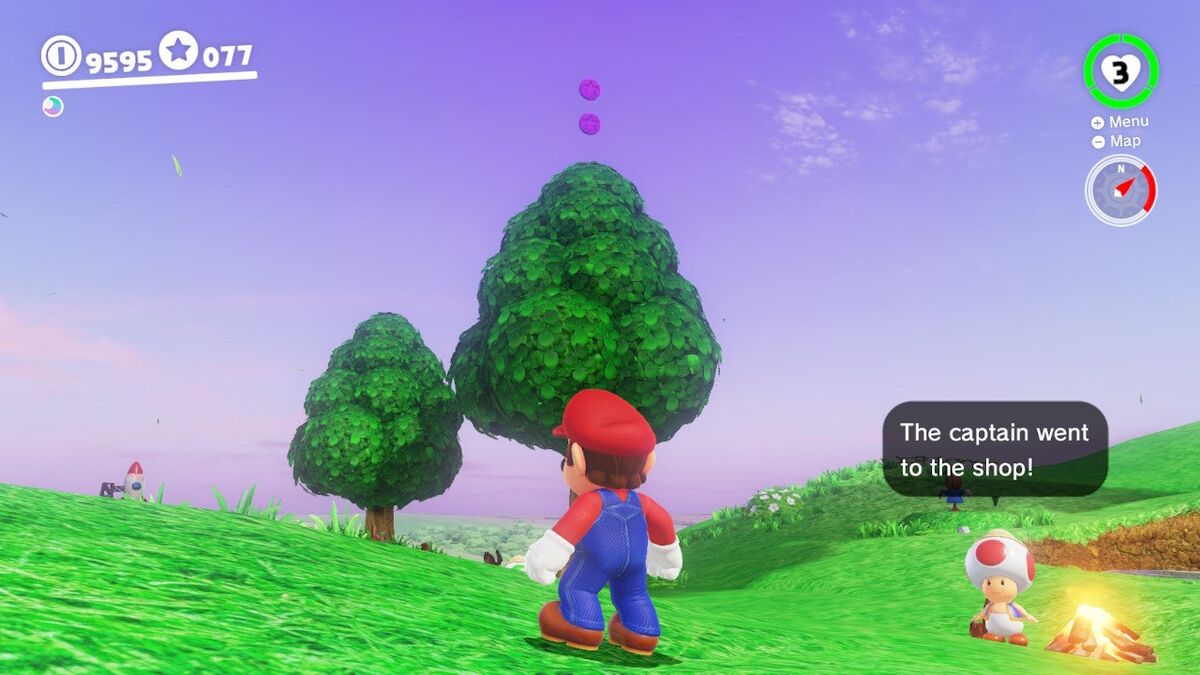 File:Mushroom Kingdom Coins Z.jpg - Super Mario Wiki, the Mario ...