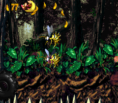 Jungle Jinx (Donkey Kong Country 2) - Super Mario Wiki, the Mario ...