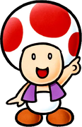 Toad - Super Mario Wiki, the Mario encyclopedia