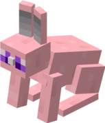 Rabbit - Super Mario Wiki, the Mario encyclopedia