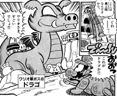 Drago - Super Mario Wiki, the Mario encyclopedia