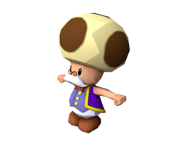Gallery:Toadsworth - Super Mario Wiki, the Mario encyclopedia