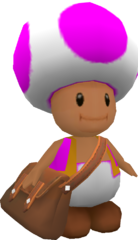 Mailtoad - Super Mario Wiki, the Mario encyclopedia