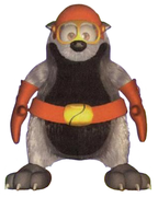 Bumper (character) - Super Mario Wiki, the Mario encyclopedia