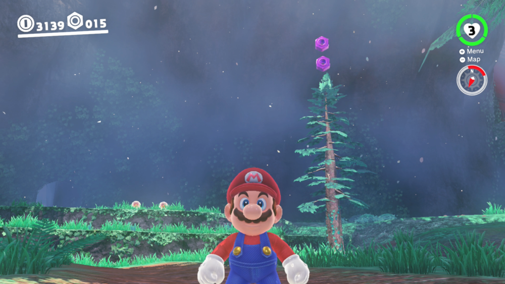List of regional coins in the Wooded Kingdom - Super Mario Wiki, the ...