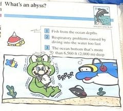 Mario Quiz Cards - Super Mario Wiki, the Mario encyclopedia
