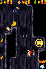 Falling Falls - Super Mario Wiki, the Mario encyclopedia
