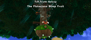 The Flotacious Blimp Fruit - Super Mario Wiki, the Mario encyclopedia
