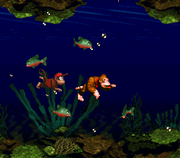 Clam City - Super Mario Wiki, the Mario encyclopedia