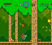 Forest of Illusion - Super Mario Wiki, the Mario encyclopedia